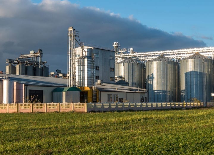 How is Corn Oil Extracted? | Trucent