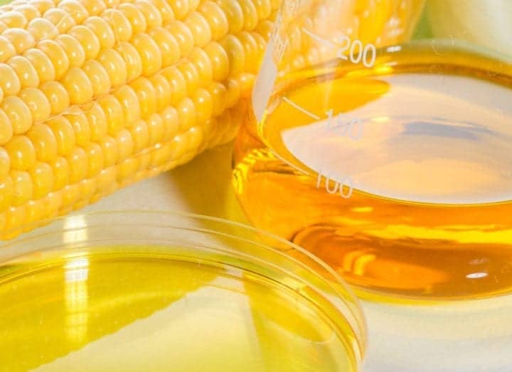 How is Corn Oil Extracted? | Trucent